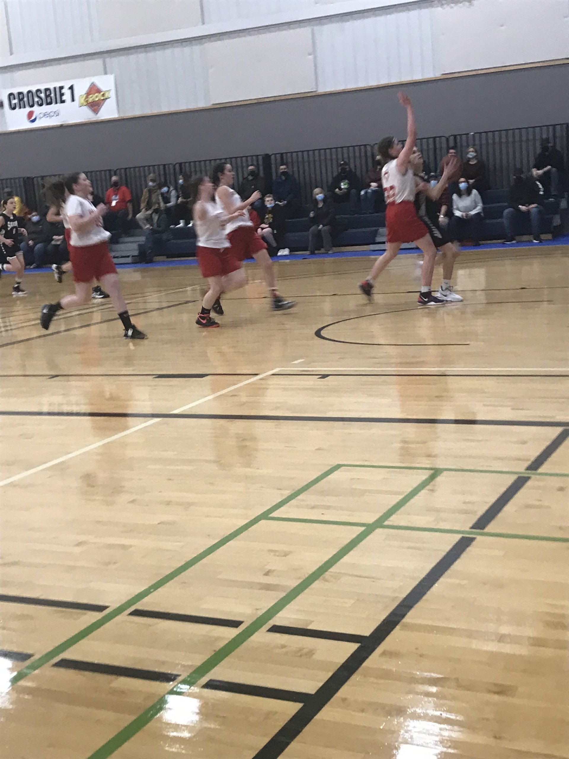 Newfoundland Labrador Basketball Association (NLBA)