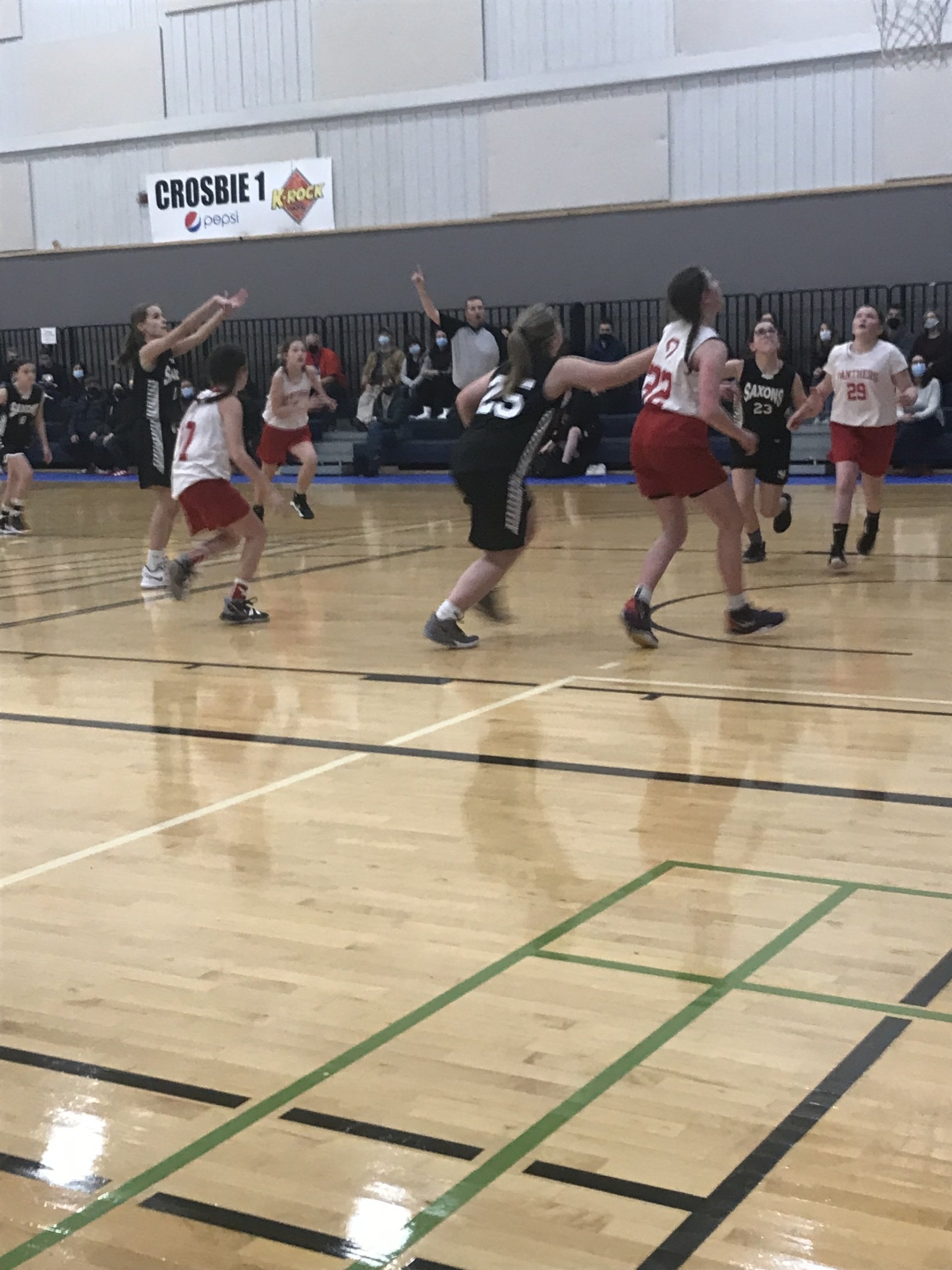 Newfoundland Labrador Basketball Association (NLBA)