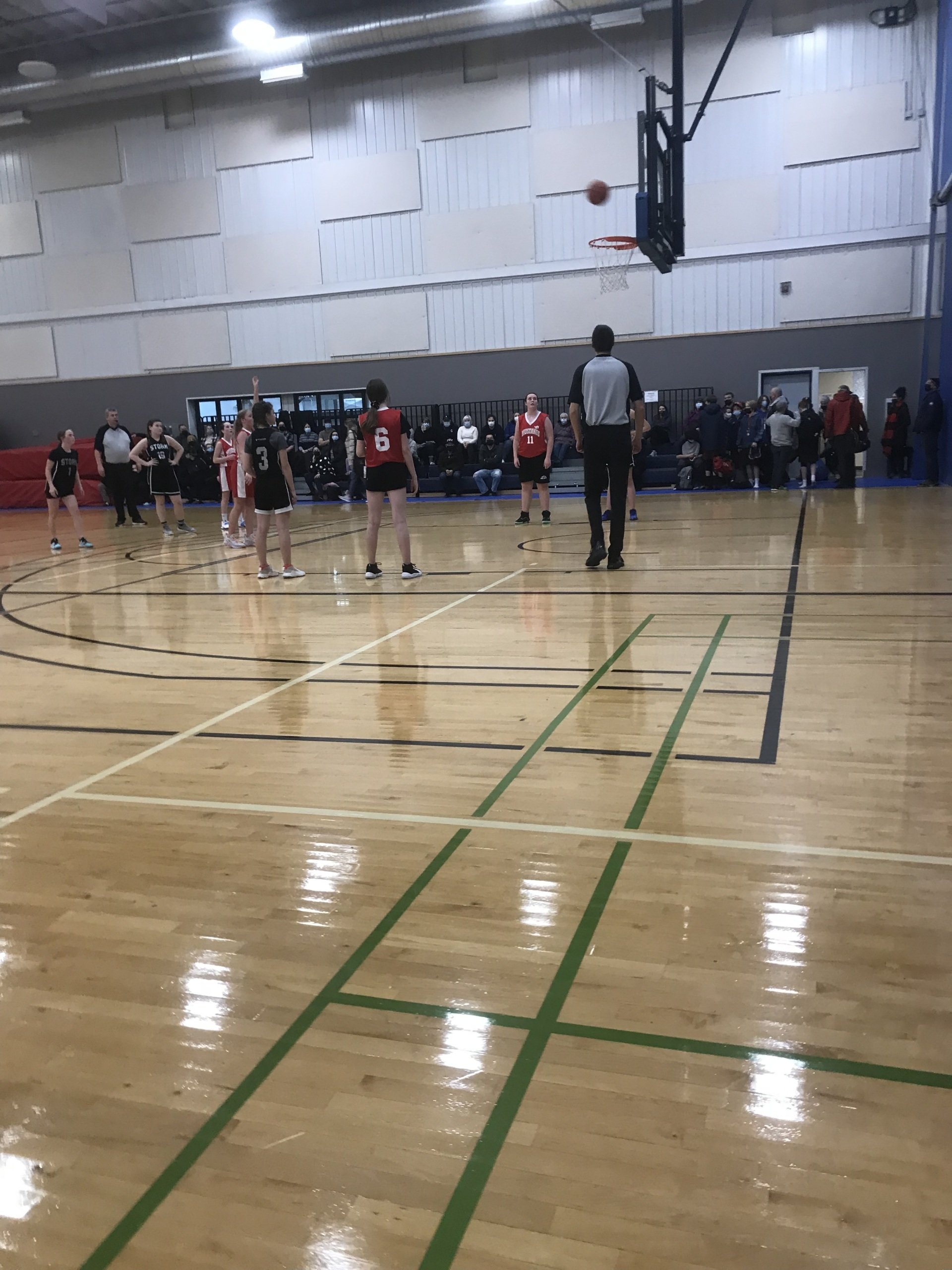 Newfoundland Labrador Basketball Association (NLBA)