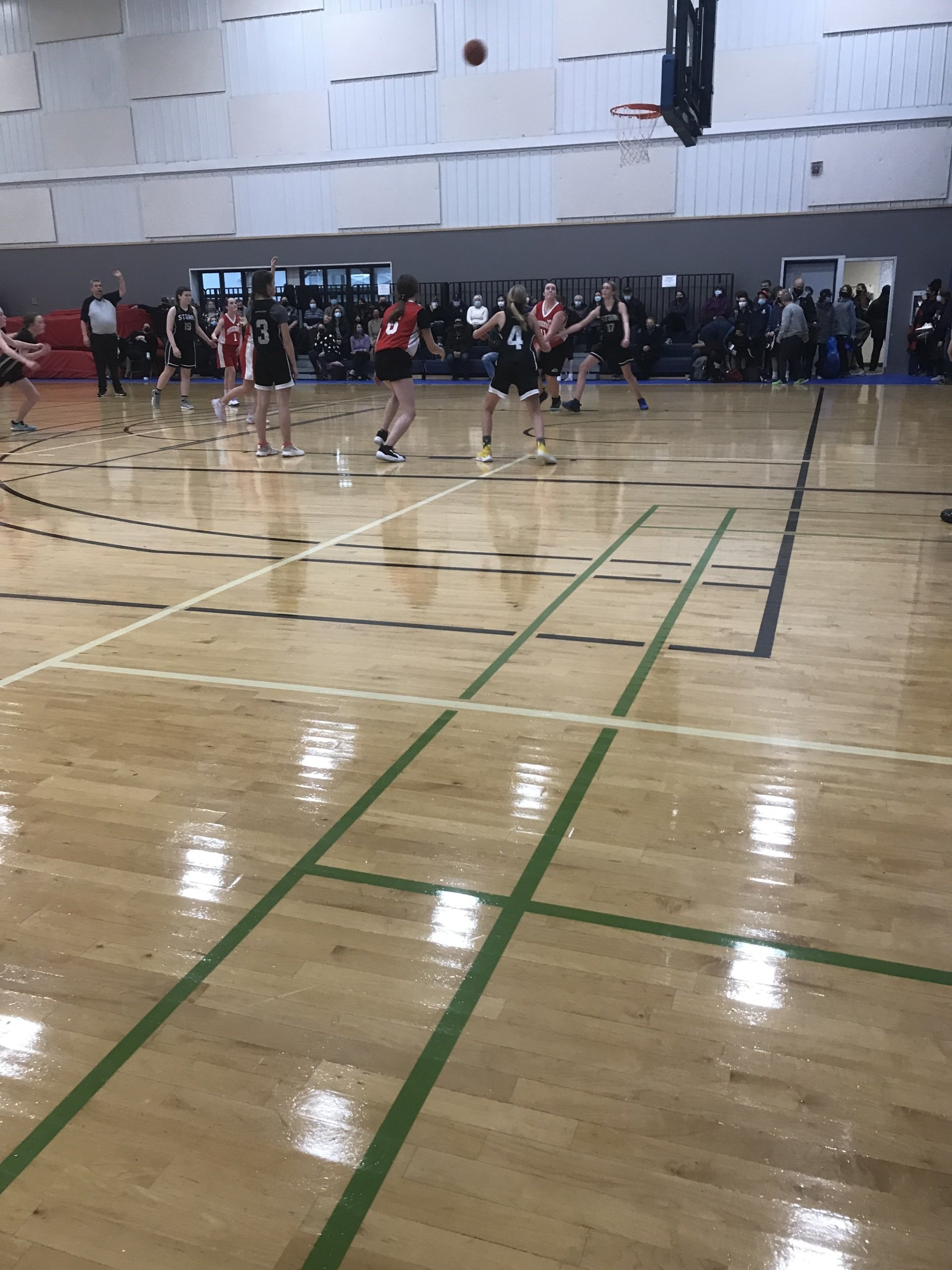 Newfoundland Labrador Basketball Association (NLBA)