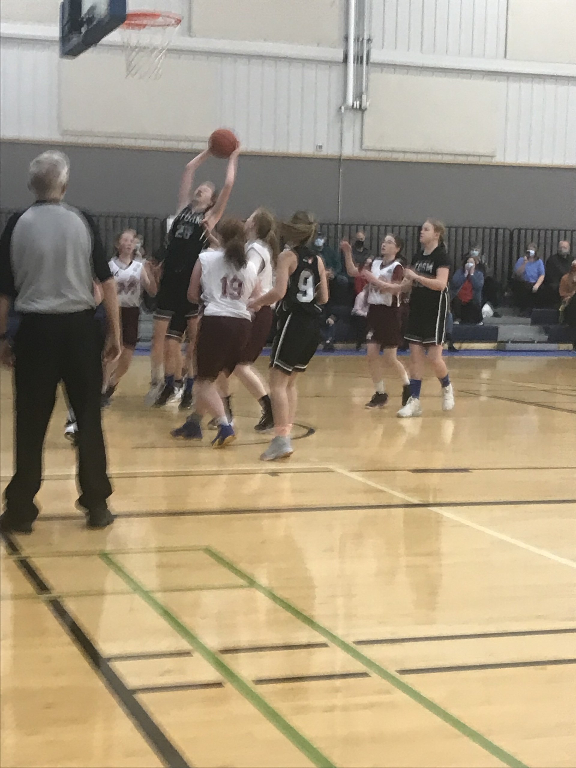 Newfoundland Labrador Basketball Association (NLBA)