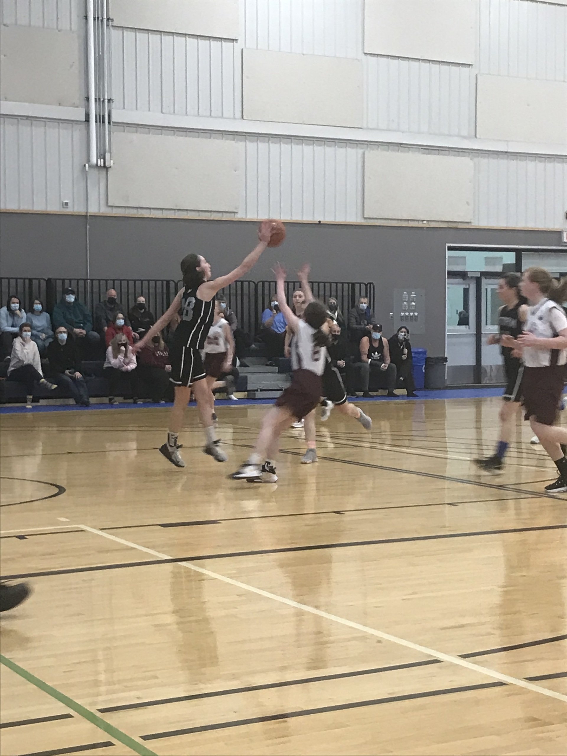 Newfoundland Labrador Basketball Association (NLBA)