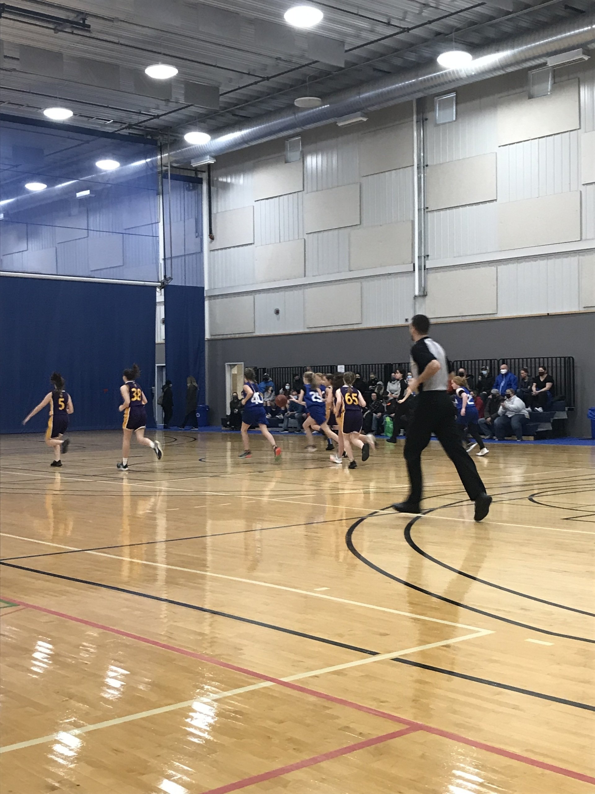 Newfoundland Labrador Basketball Association (NLBA)