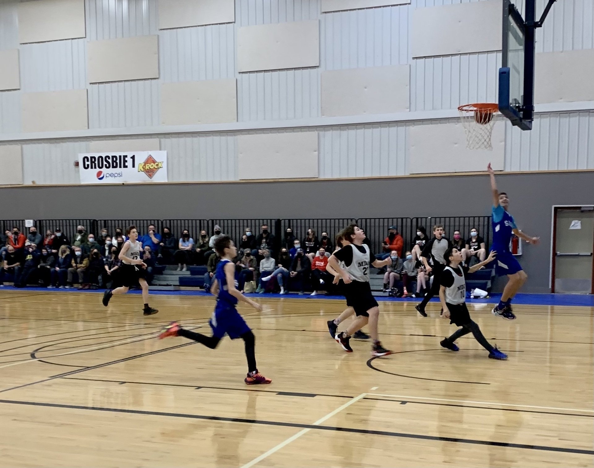 Newfoundland Labrador Basketball Association (NLBA)