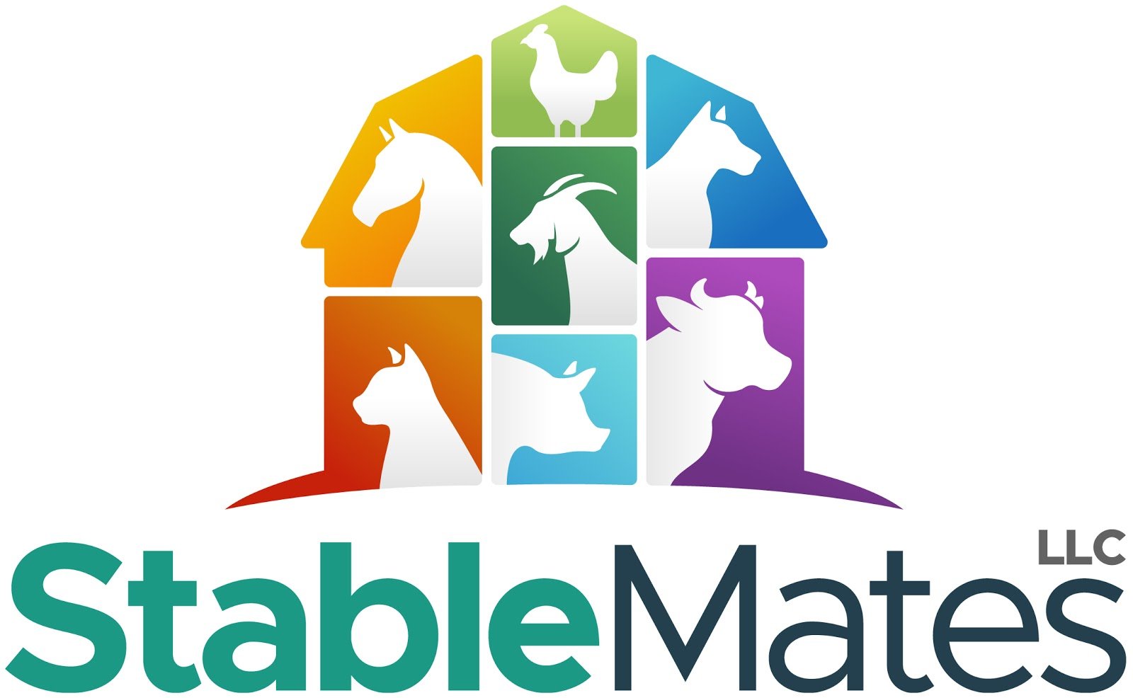 On The Road With Dawn and Clea