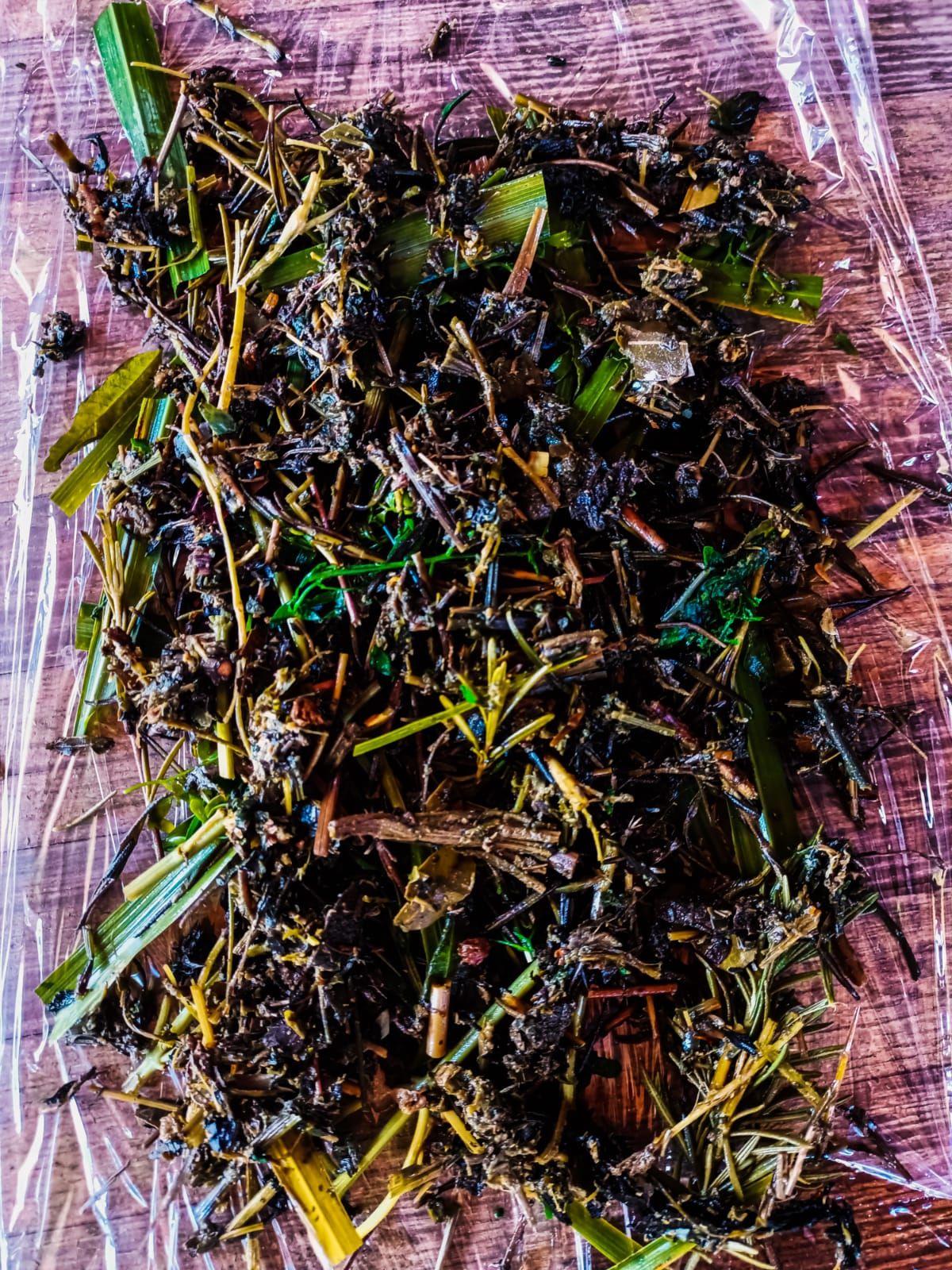 Temazcal en Oaxaca, Oaxaca