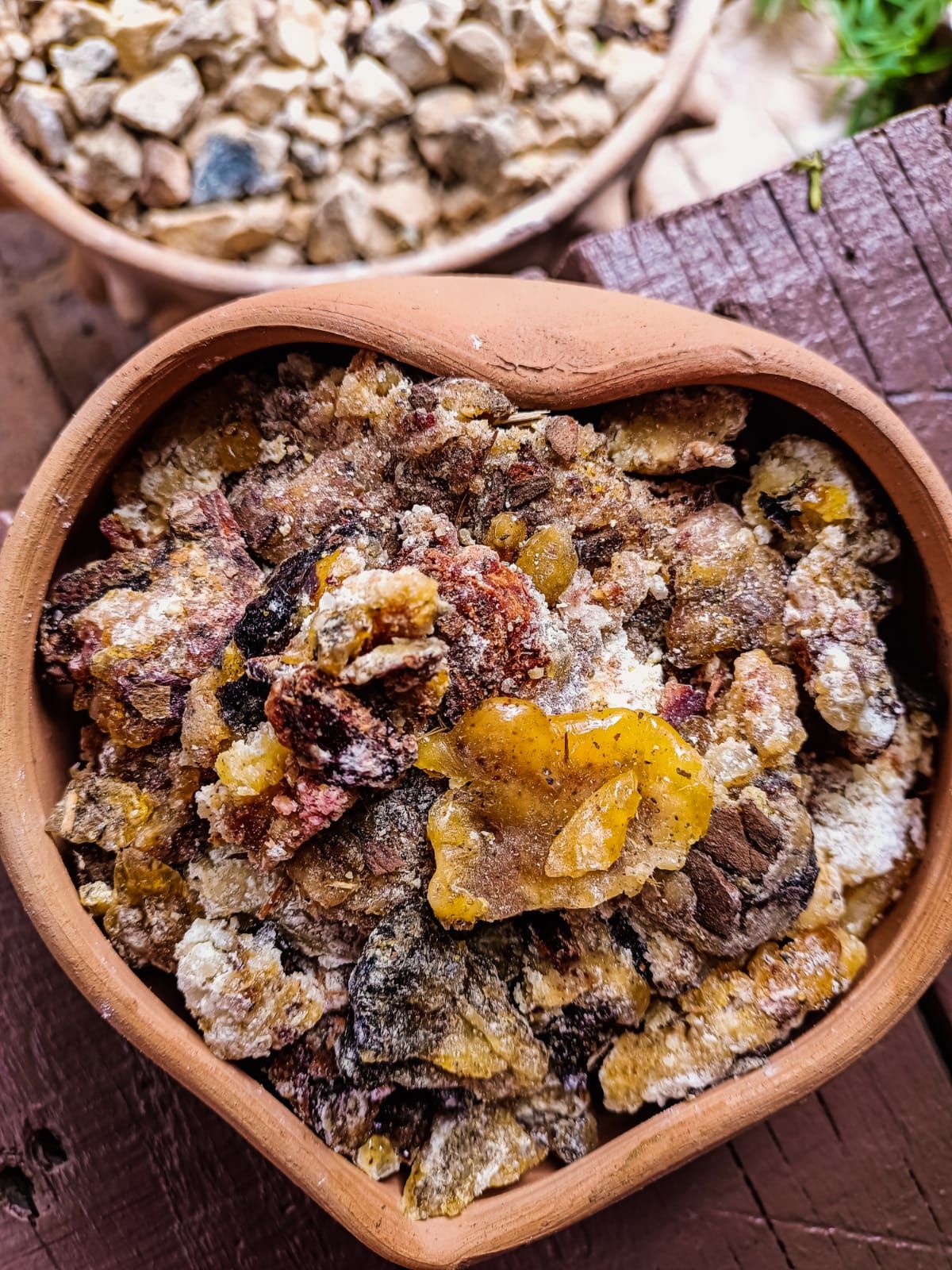 Temazcal en Oaxaca, Oaxaca