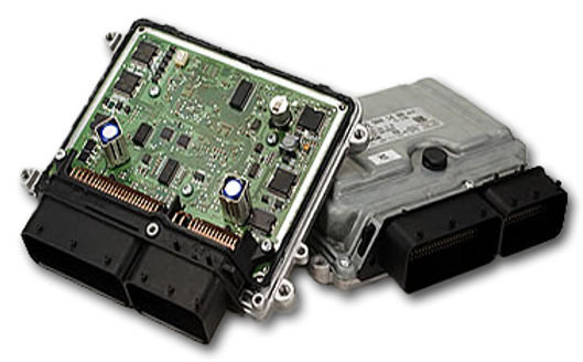 Shop | Darwin Diagnostics & Performance