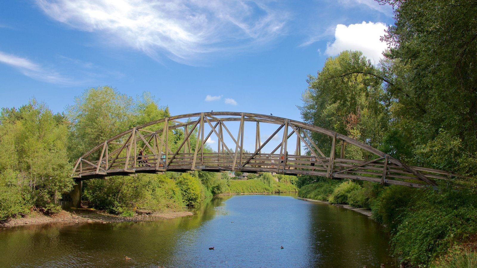 Plumber Lynnwood WA | Plumbing Services in Shoreline, Bothell & Edmonds ...