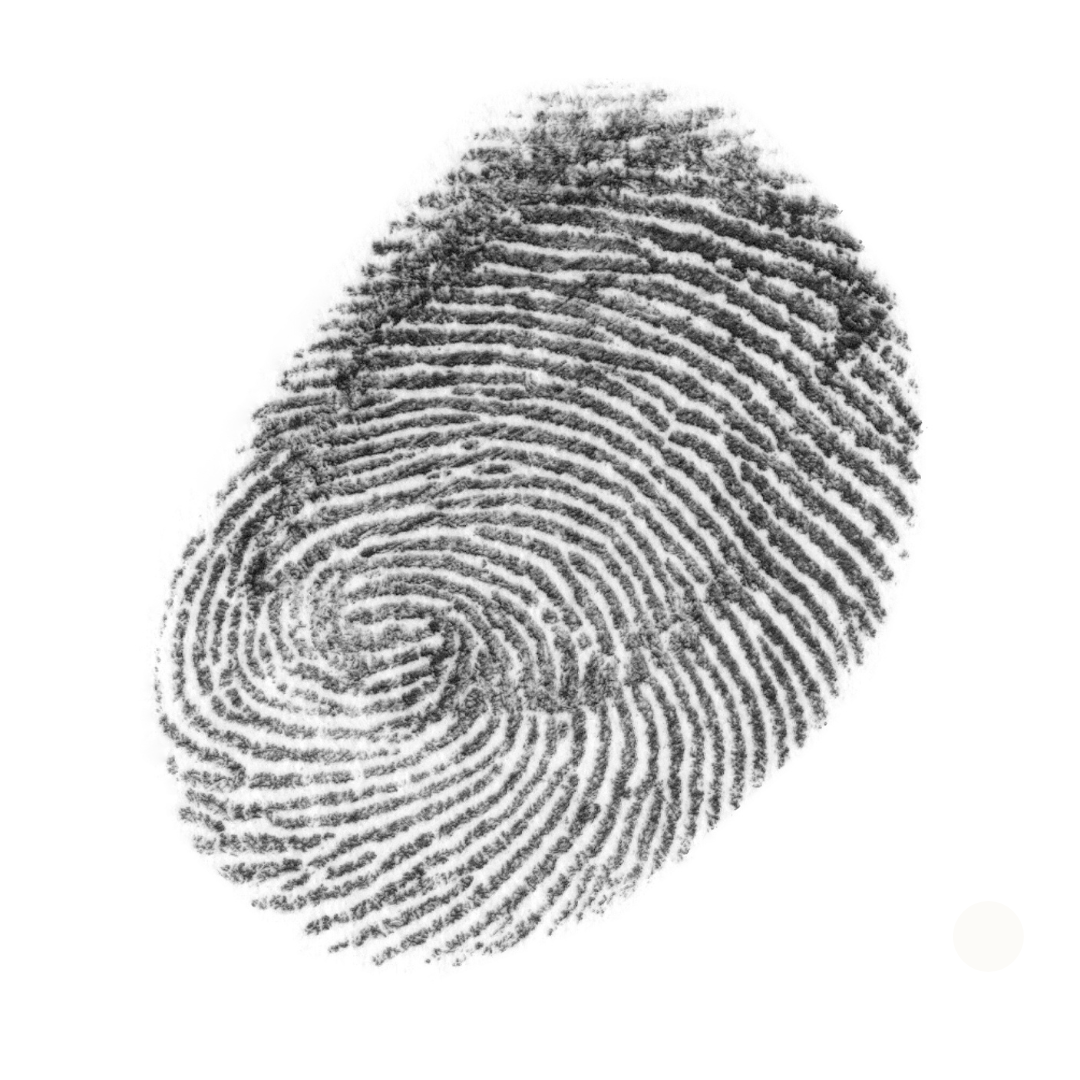 Volunteer Registration