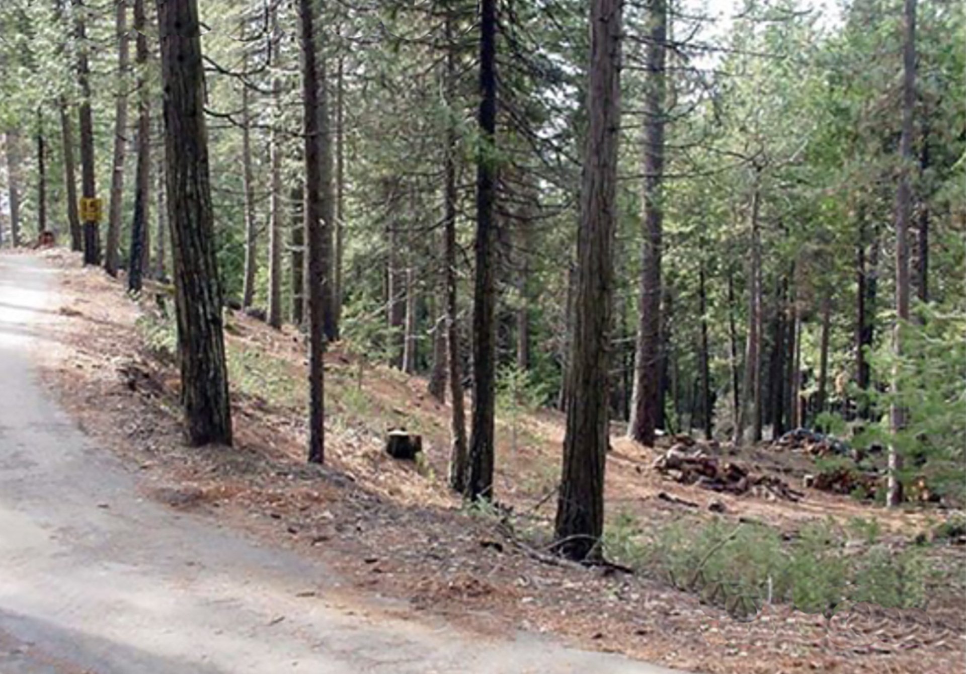 Earth Care by Joe Gowen