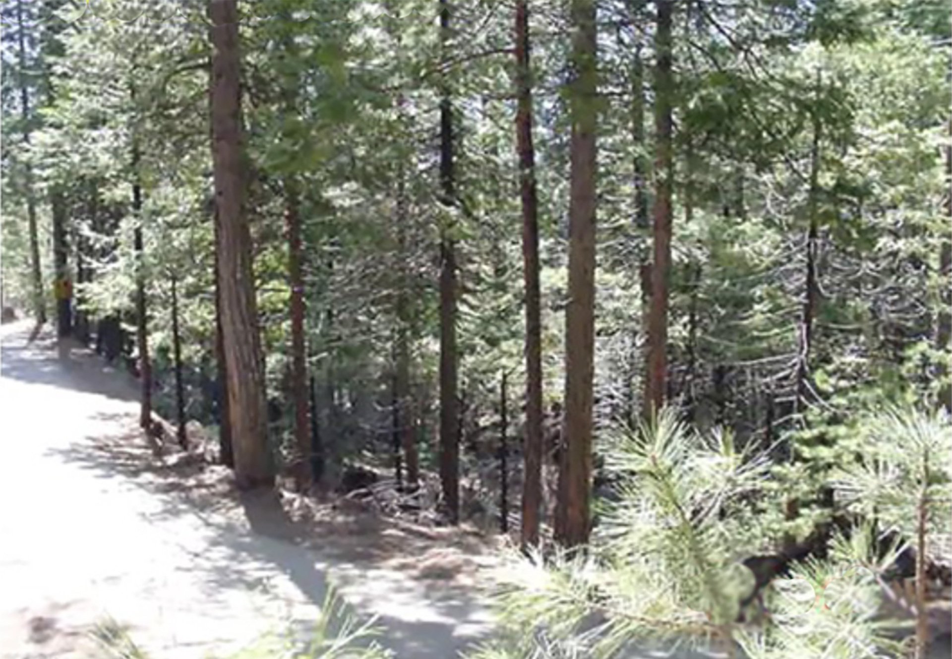 Earth Care by Joe Gowen