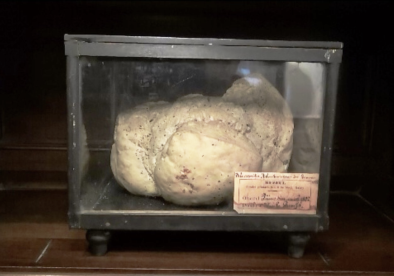 World's Oldest Edible Ham, world record in Smithfield, Virginia