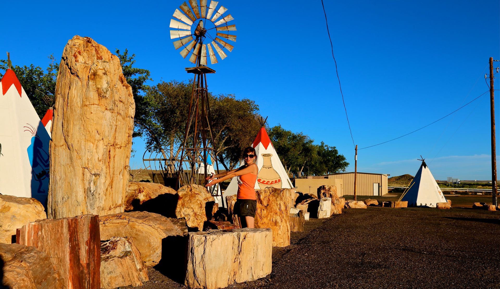 World's Largest Petrified Tree: world record in Holbrook, Arizona