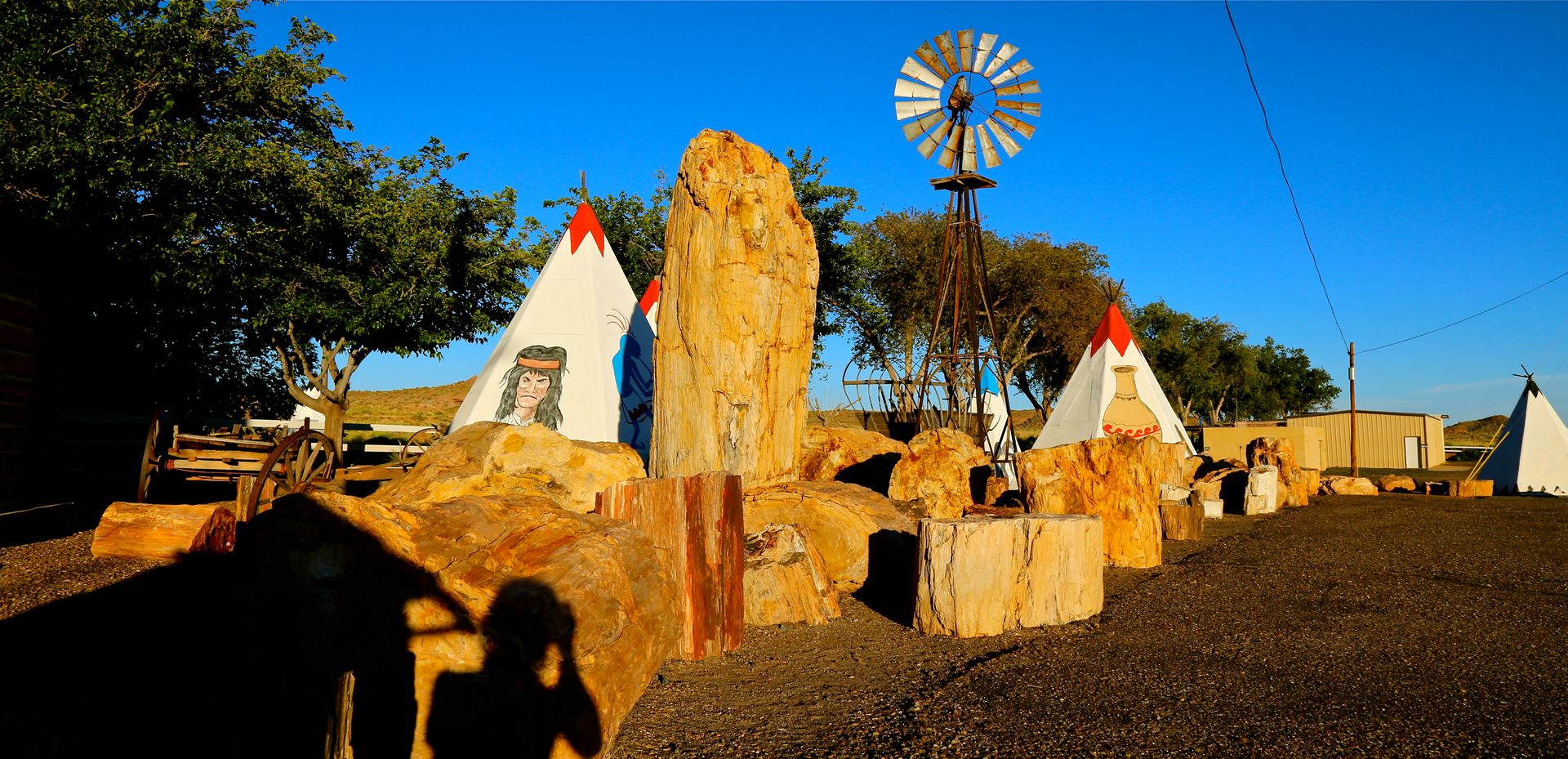 World's Largest Petrified Tree: world record in Holbrook, Arizona