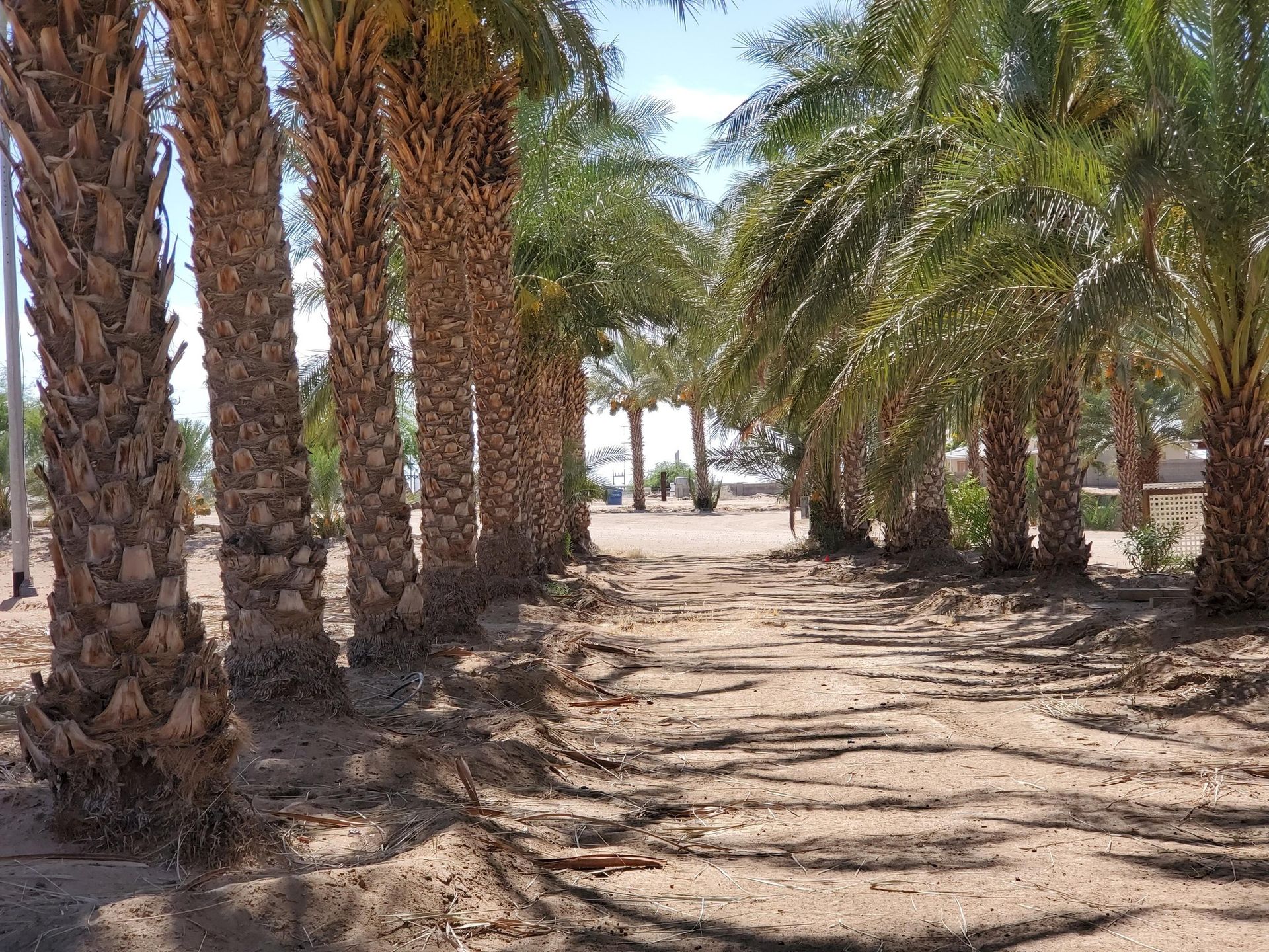 World's Sunniest Place: world record in Yuma, Arizona