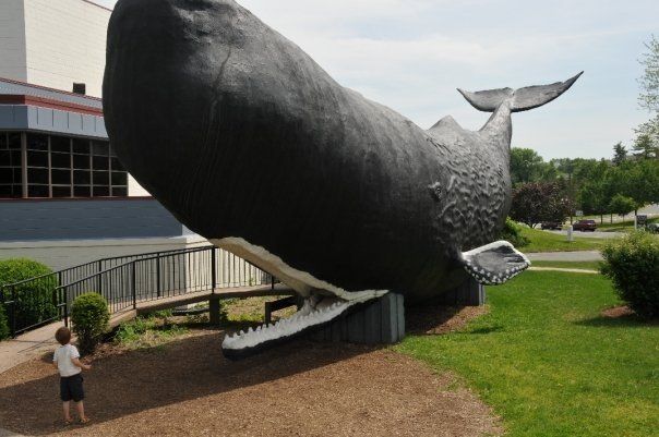 World's Biggest Sperm Whale Sculpture: world record in Hartford ...