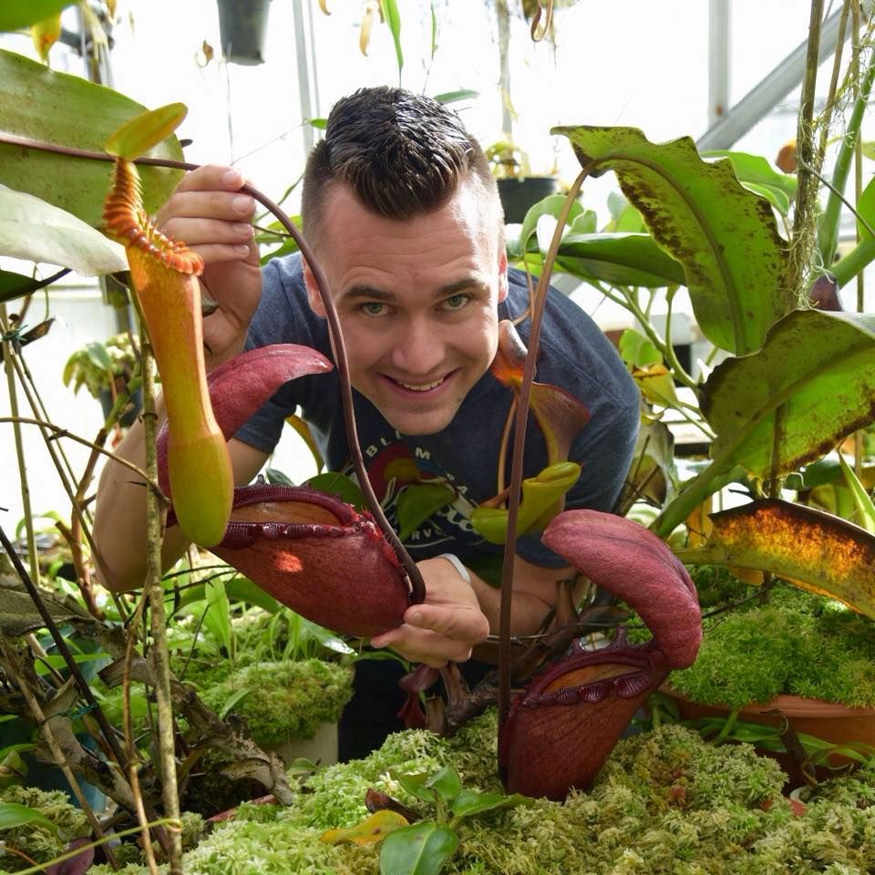 World's Largest Venus Flytrap: world record in Colorado Springs, Colorado