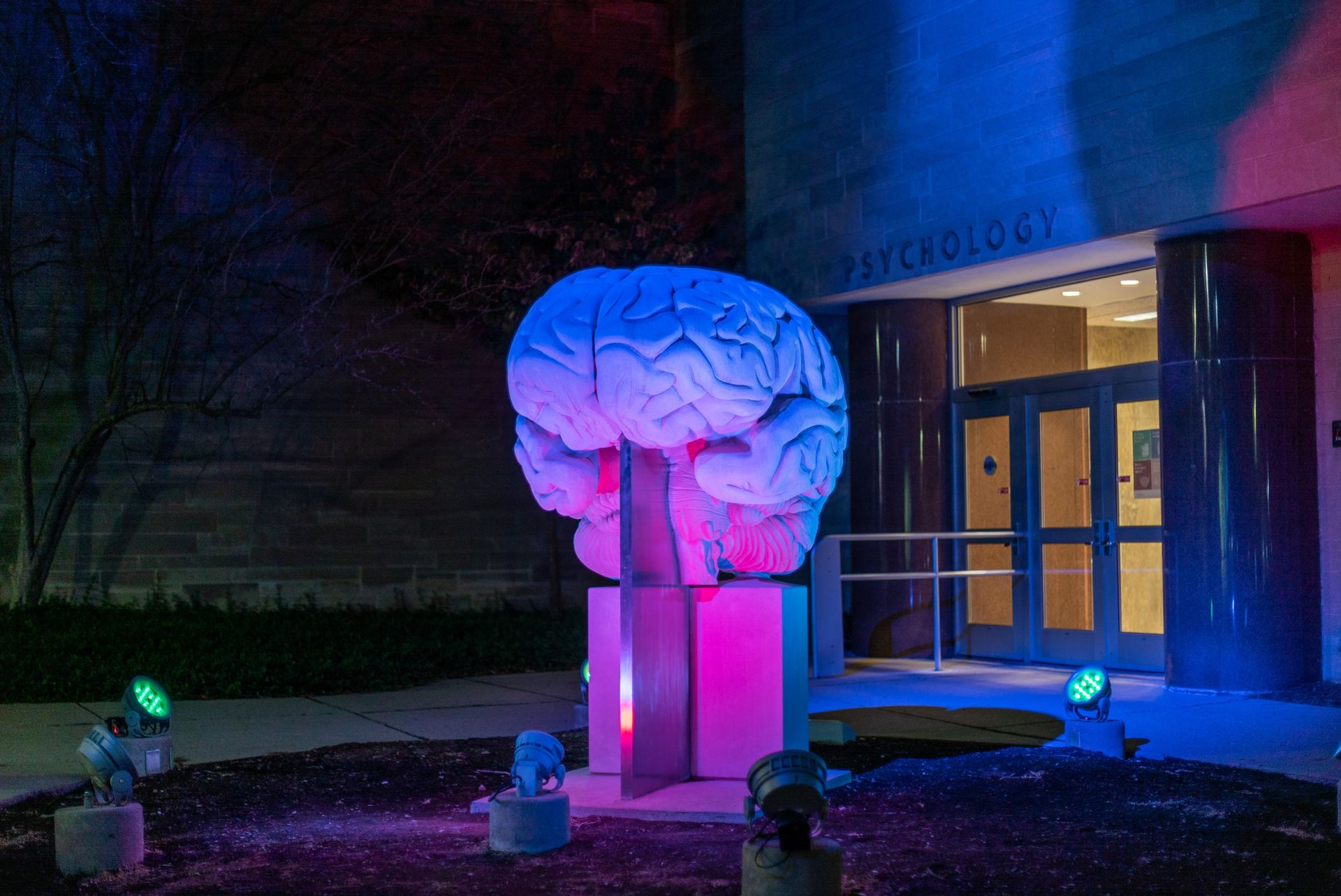 World's largest anatomically-accurate brain sculpture: Bloomington, Indiana
