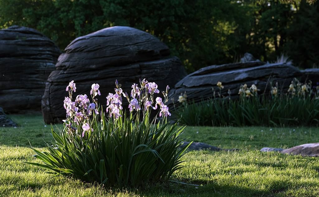 World’s Largest Cannonball Concretions: world record in Rock City, Kansas