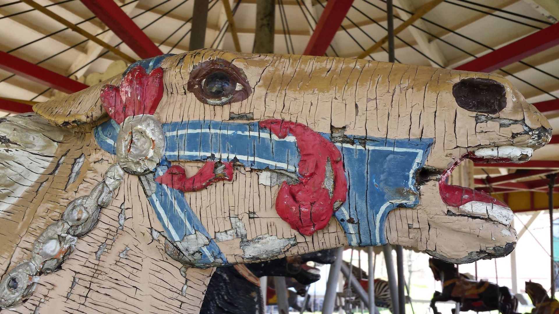 World's Largest Collection of World Record Memorabilia: world record in ...