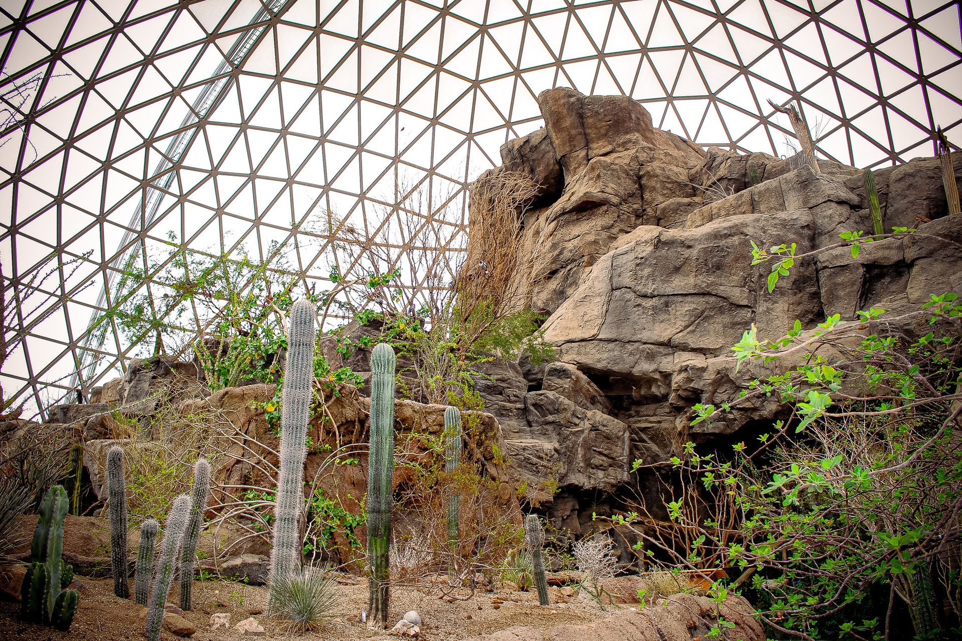 World’s Largest Indoor Desert: world record in Omaha, Nebraska