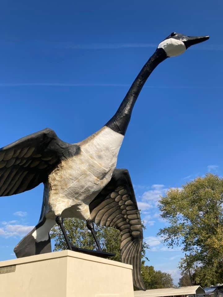 World's Largest Goose Sculpture: world record in Sumner, Missouri