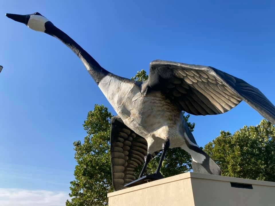 World's Largest Goose Sculpture: world record in Sumner, Missouri