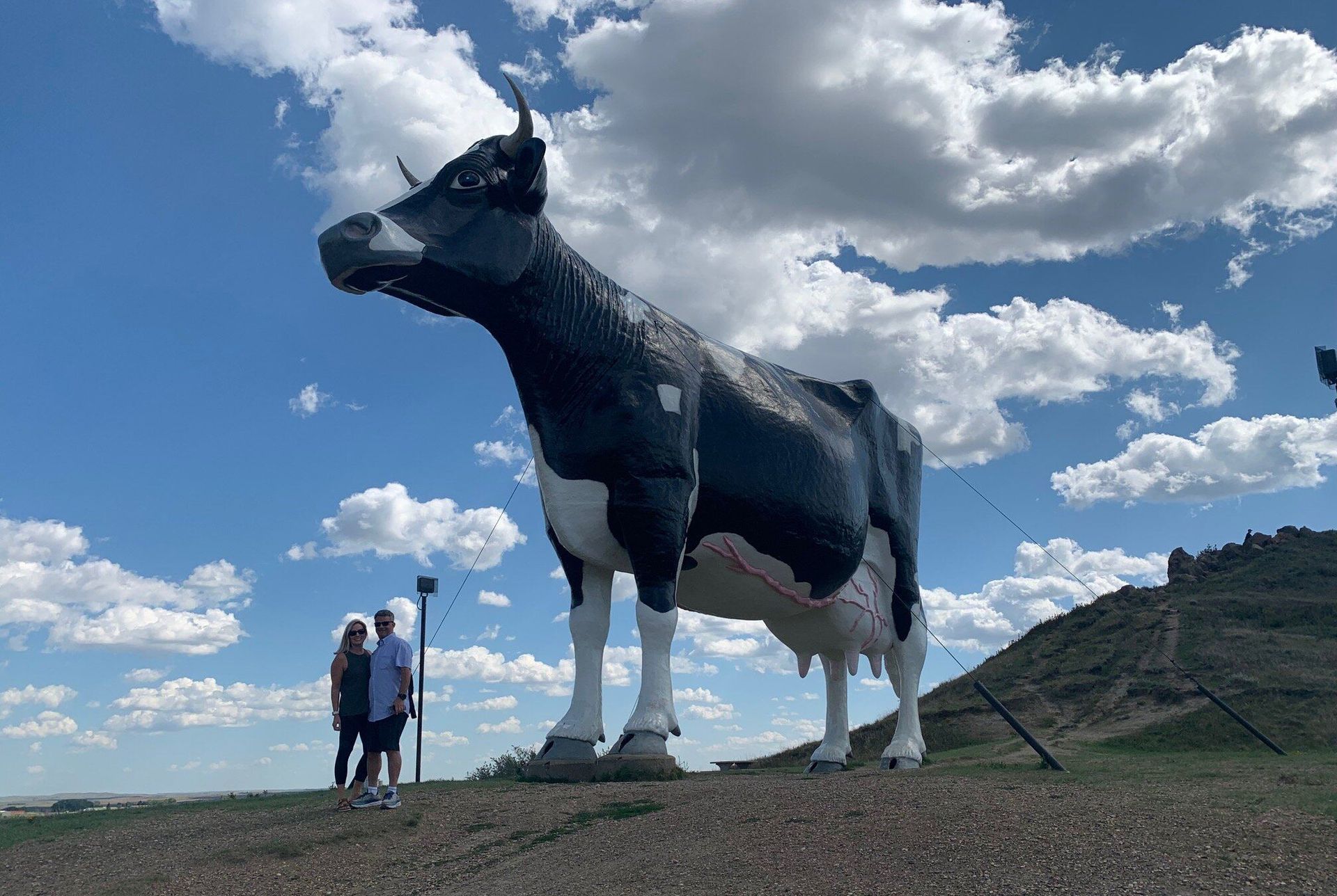 World's Largest Holstein Cow Sculpture: world record in New Salem ...