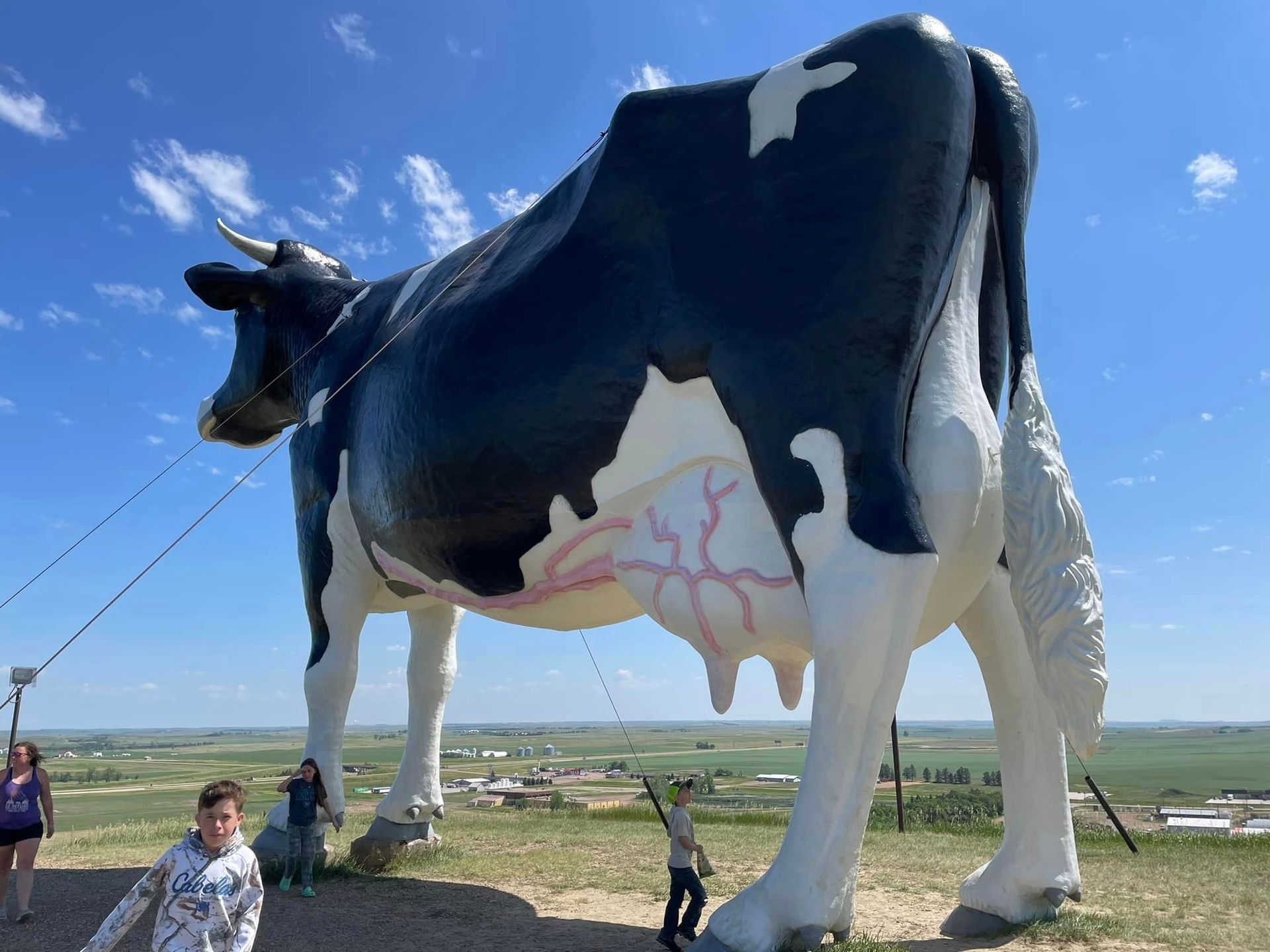 World's Largest Holstein Cow Sculpture: world record in New Salem ...