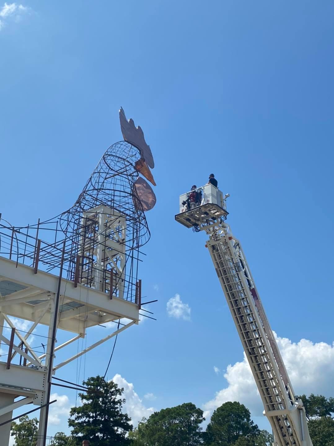 World's Largest Skeletal Chicken: world record in Fitzgerald, Georgia