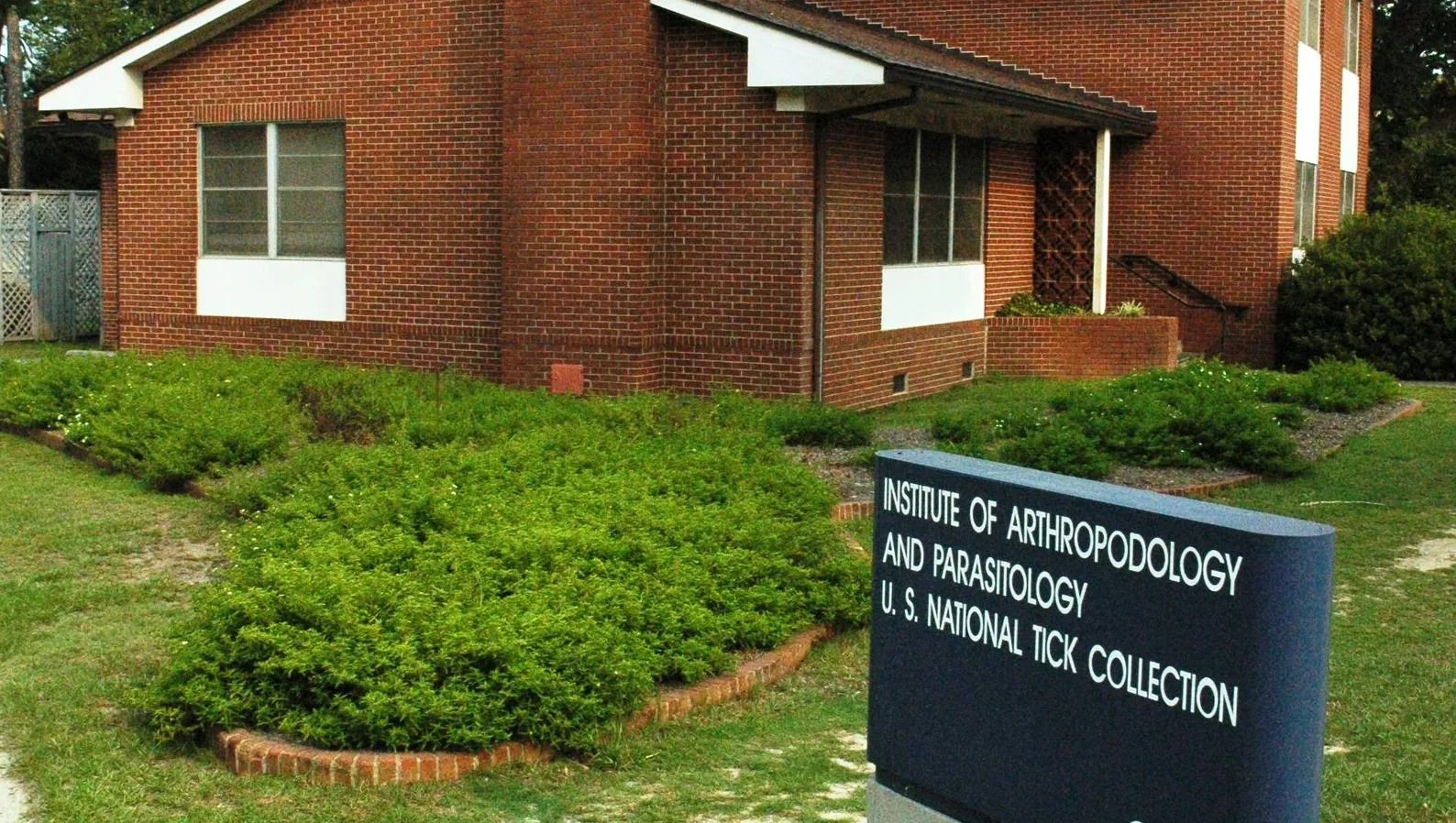 World's Largest Tick Collection: world record in Statesboro, Georgia