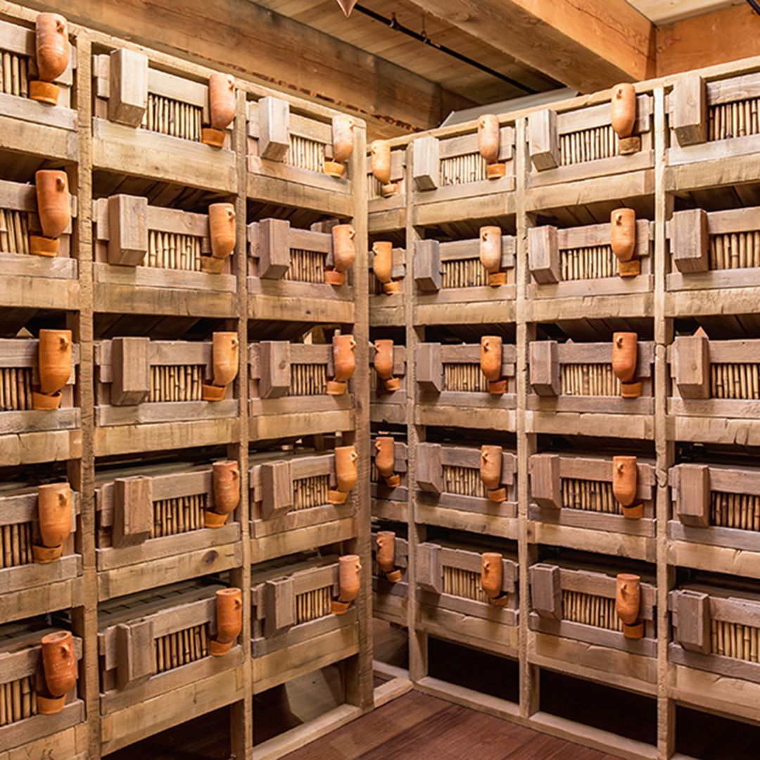 World’s largest freestanding timber frame structure: Williamstown, Kentucky