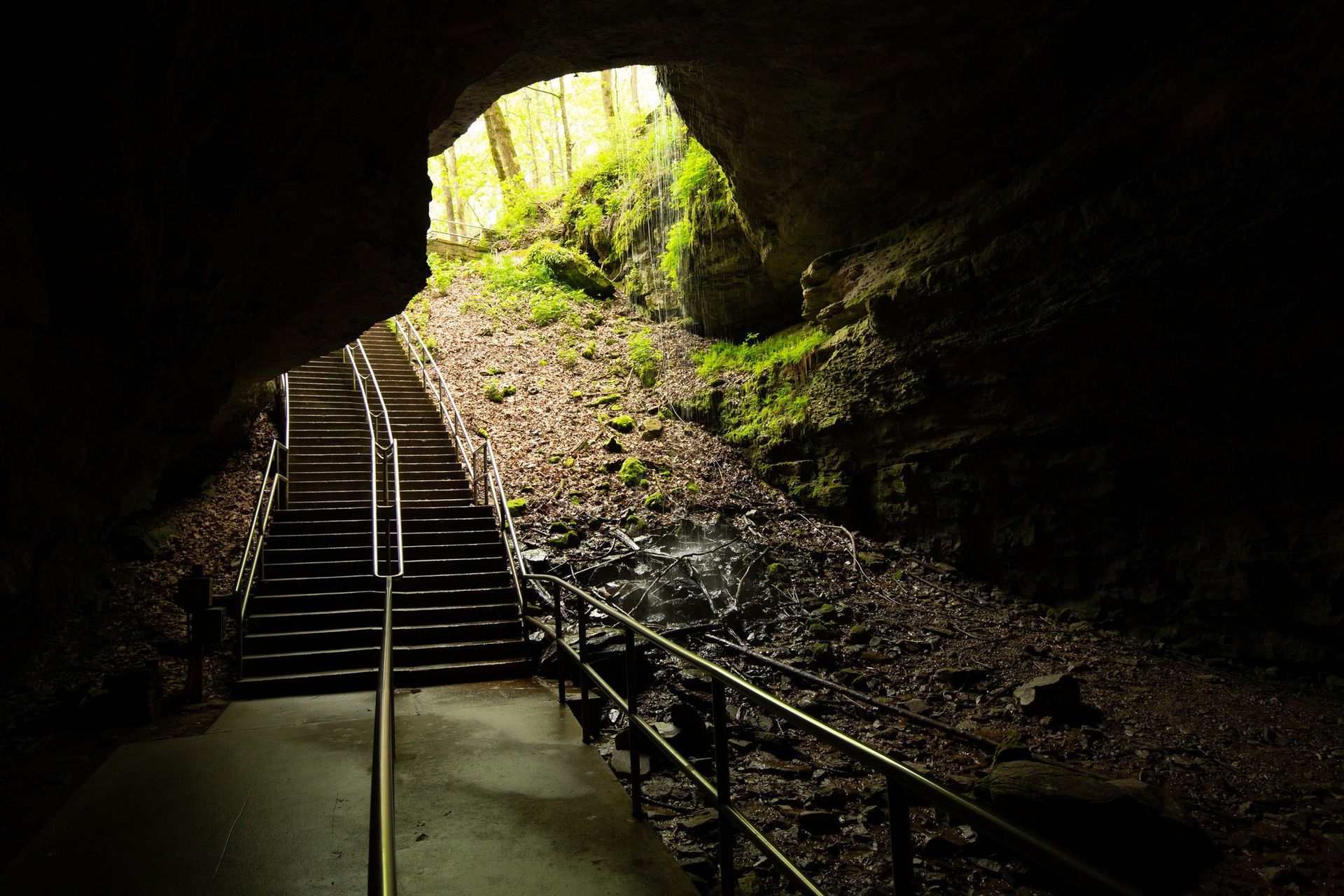 World's Longest Cave System: world record in Edmonson County, Kentucky