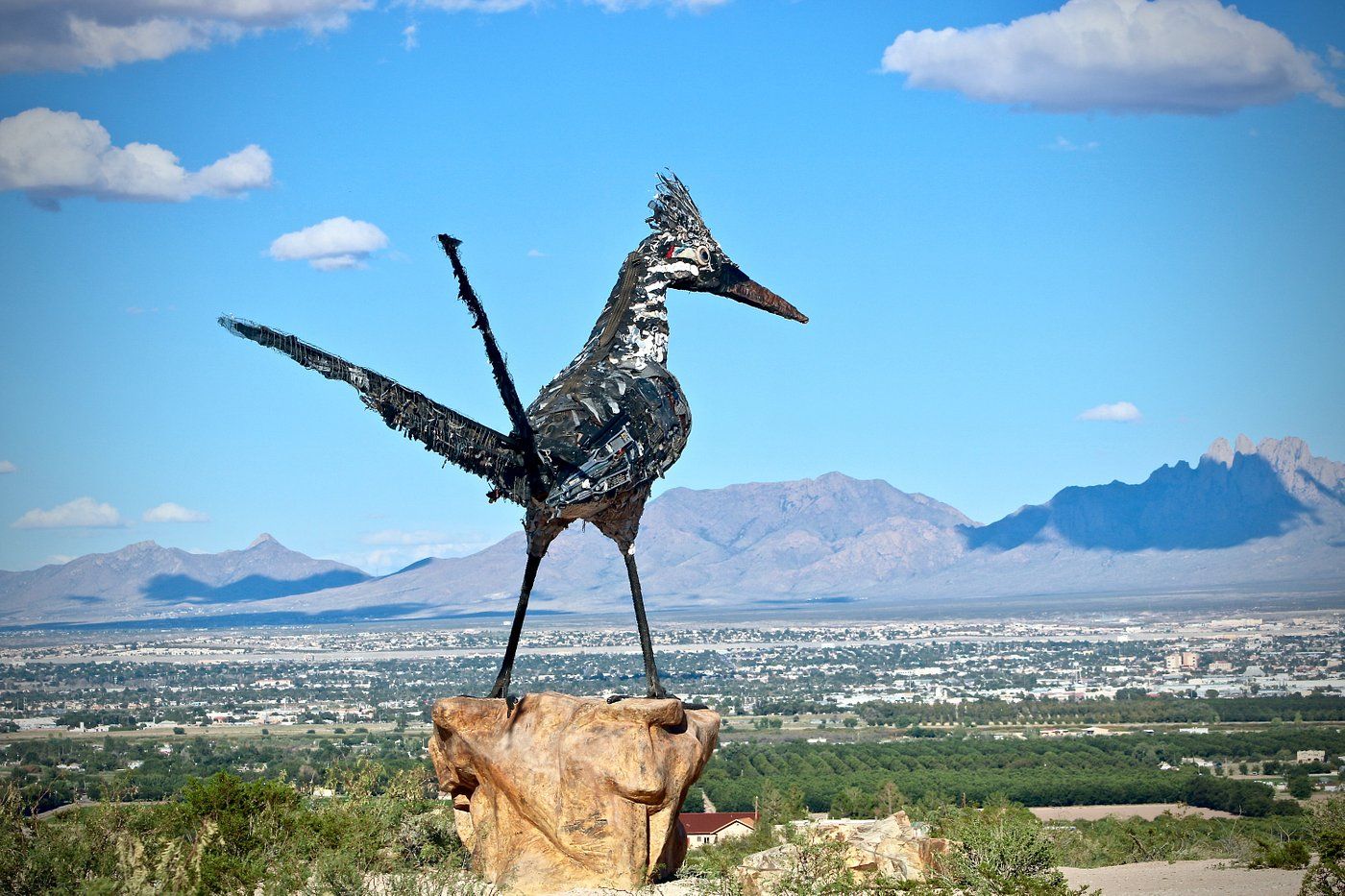 World's Largest Recycled Roadrunner Sculpture, world record in Las ...