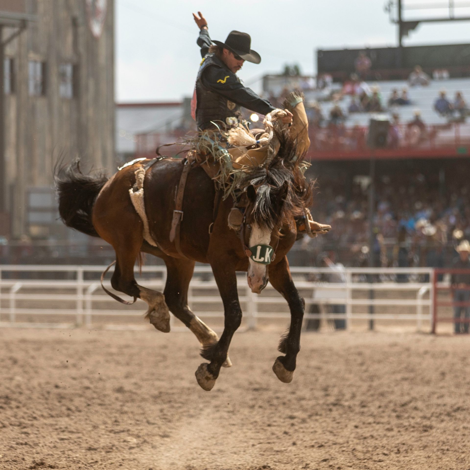 World's Largest Outdoor Rodeo, world record in Cheyenne, Wyoming