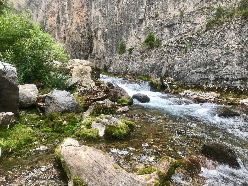 World’s Largest Rhythmic Spring, world record near Afton, Wyoming