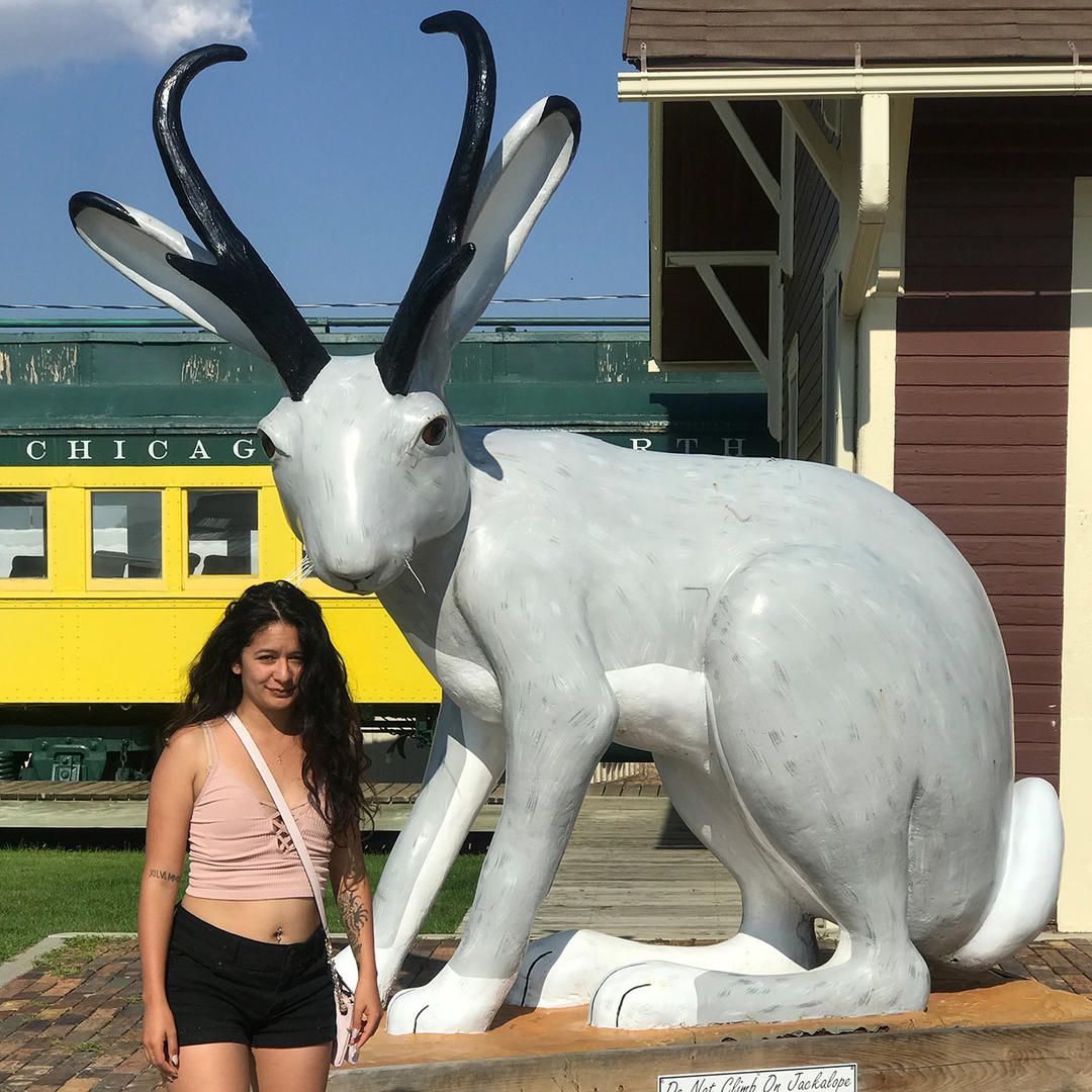 World's Largest Jackalope Sculpture, world record in Douglas, Wyoming