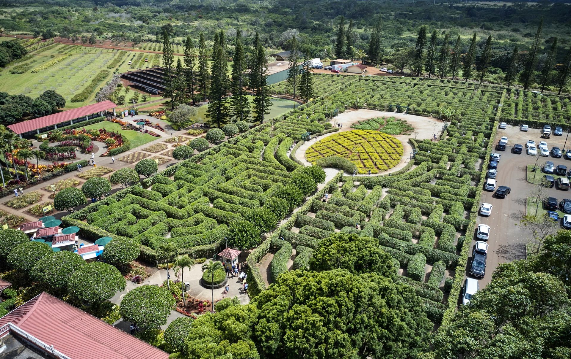 World's Largest Pineapple Maze, world record in Wahiawa, Hawaii