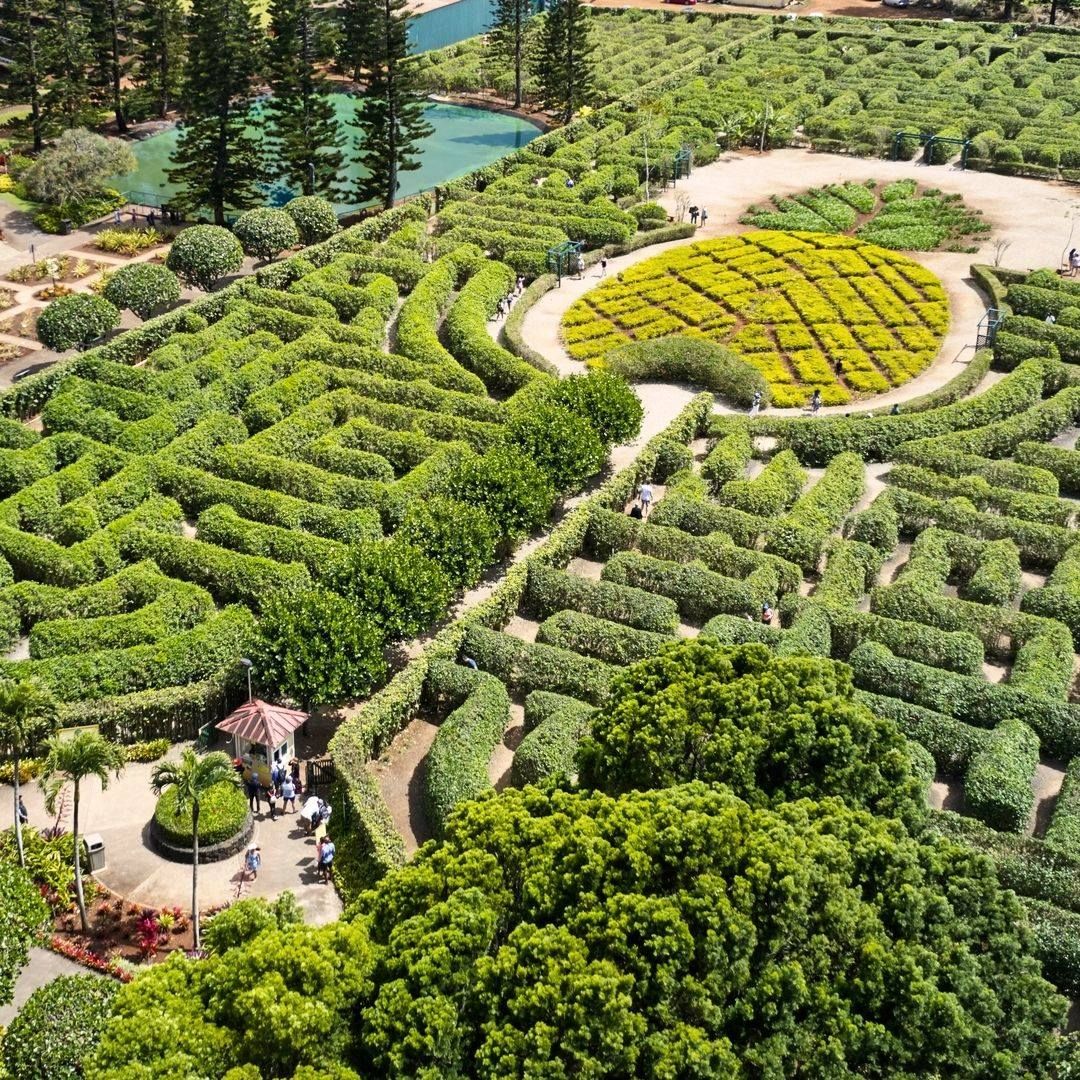 World's Largest Pineapple Maze, world record in Wahiawa, Hawaii