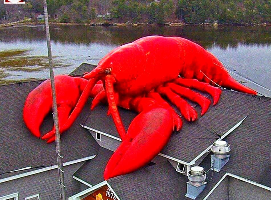 World’s Largest Inflatable Lobster, world record in Woolwich, Maine