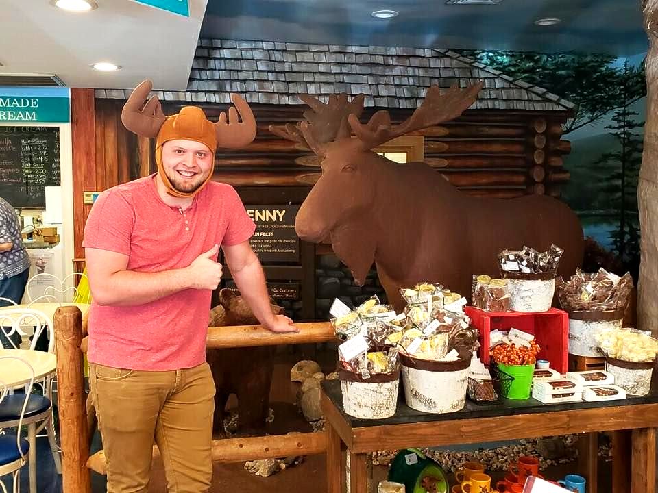 World's First Life-Size Chocolate Moose, world record in Scarborough, Maine