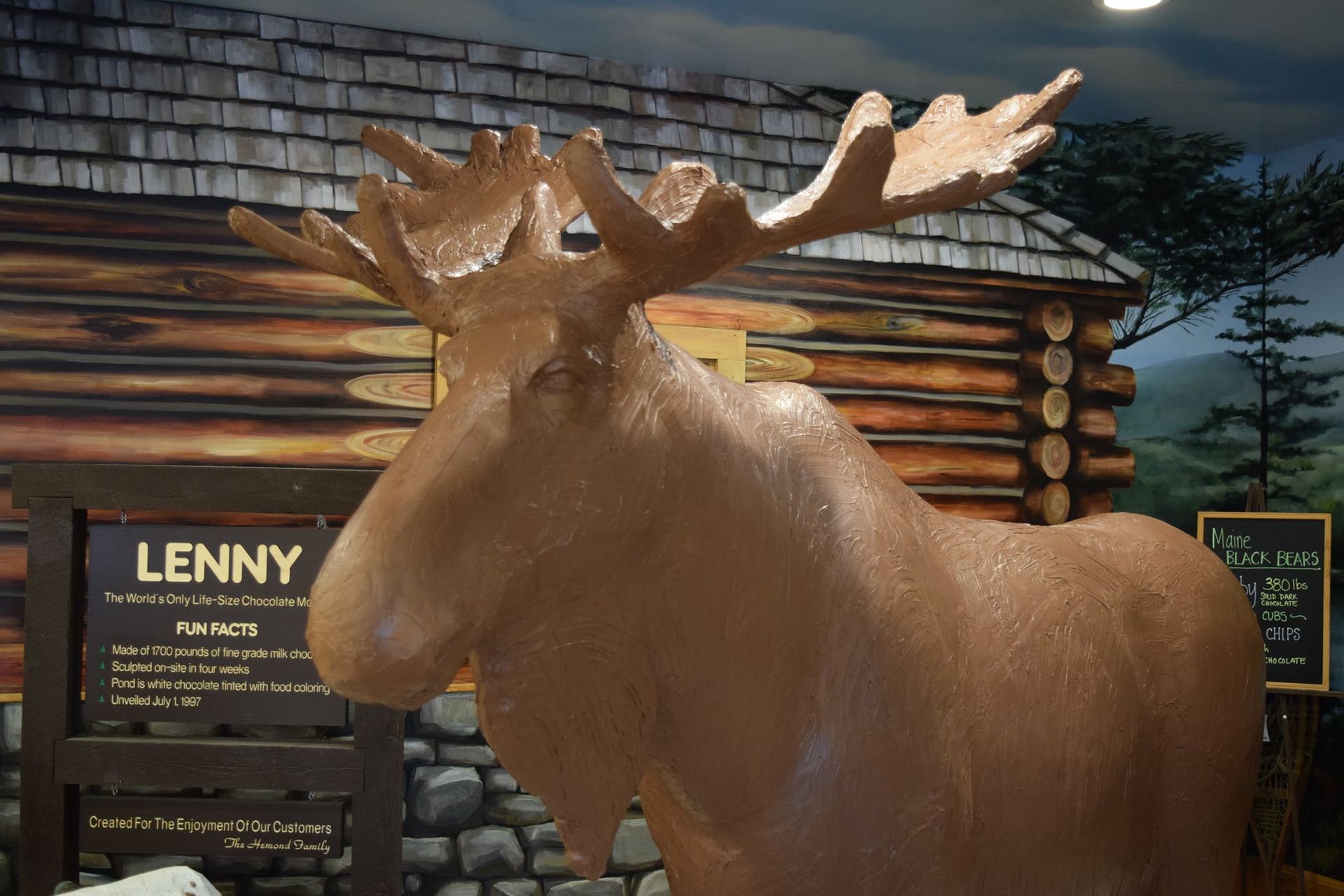World's First Life-Size Chocolate Moose, world record in Scarborough, Maine