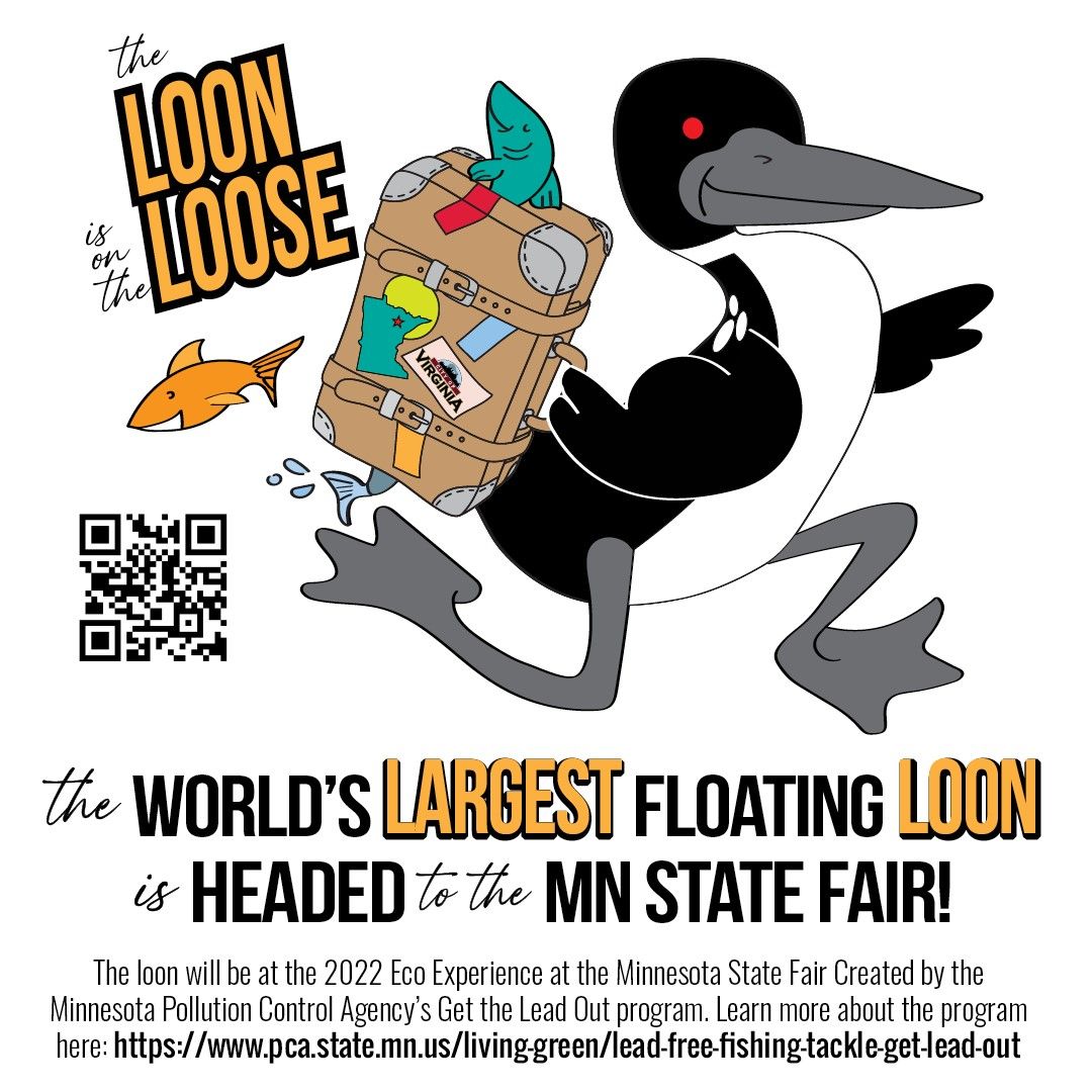 World's Largest Floating Loon, world record on Silver Lake, Minnesota