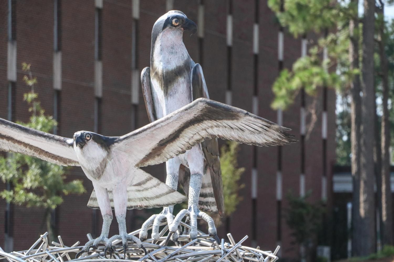 Worlds Largest Seahawk Sculpture, world record in Wilmington, North ...