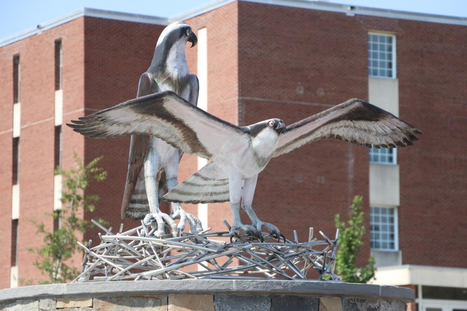 Worlds Largest Seahawk Sculpture, world record in Wilmington, North ...