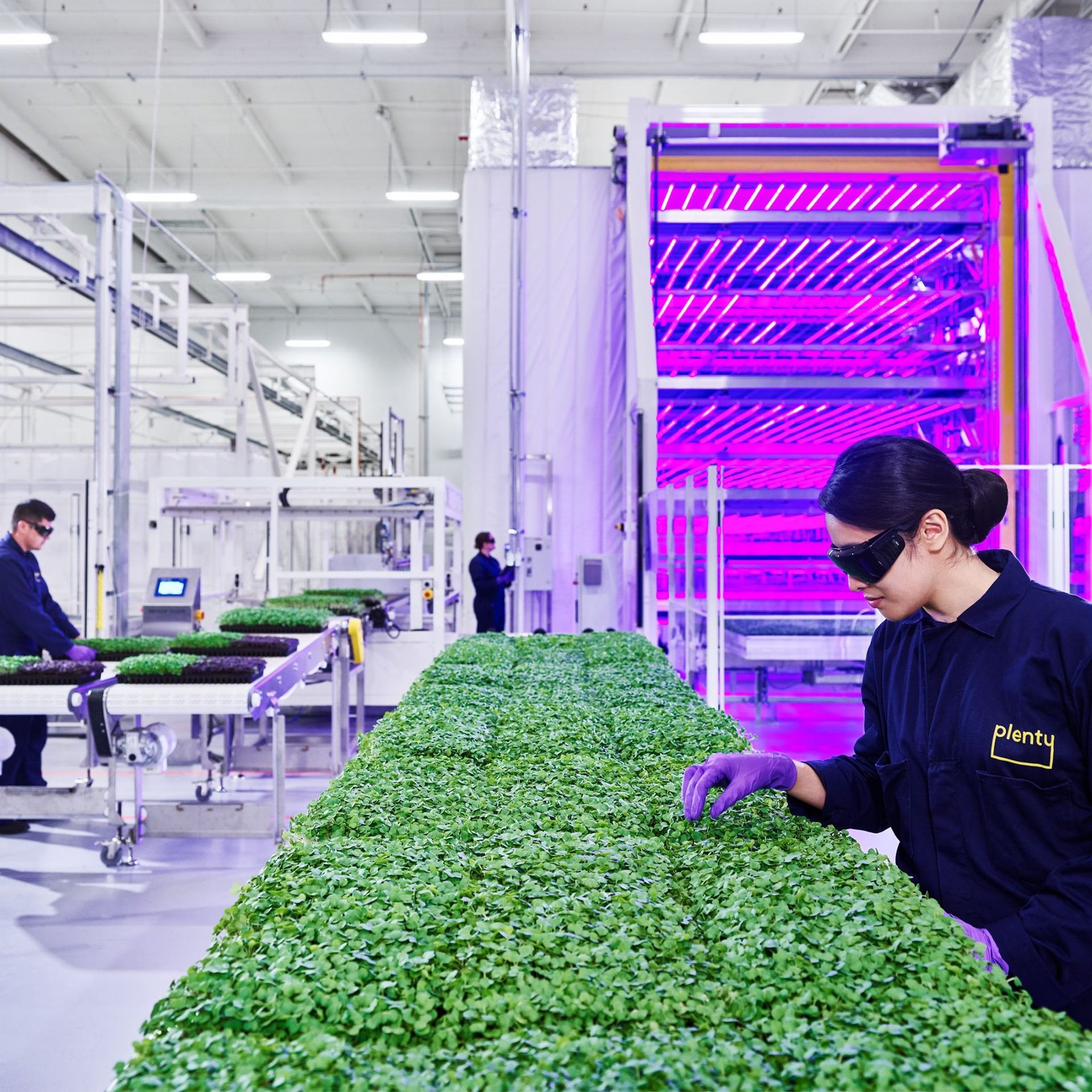World's Largest Indoor Vertical Farming Campus, world record near ...