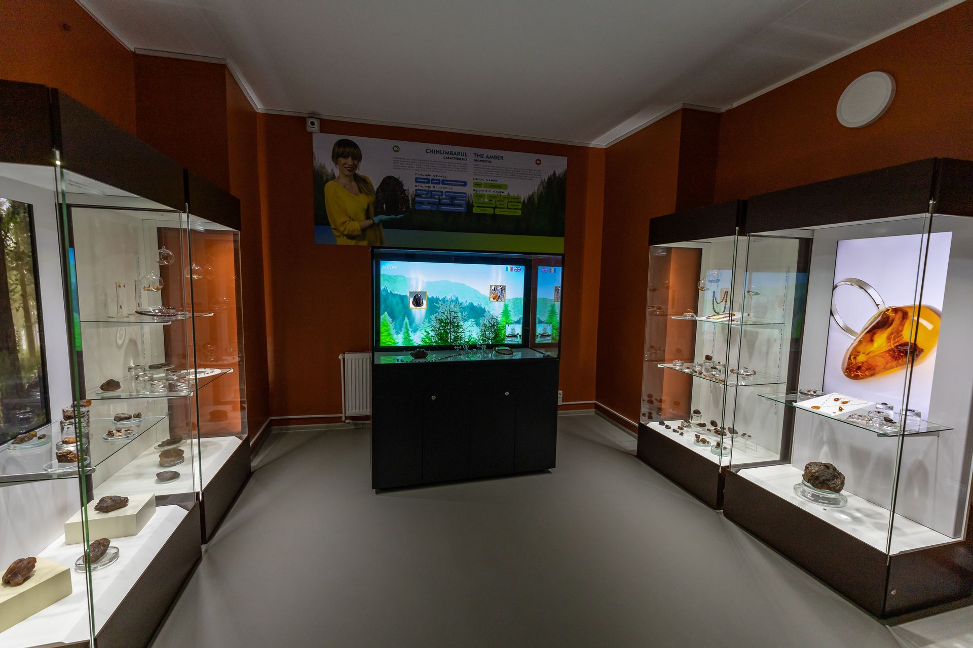 World's Largest Rumanit Amber Nugget, world record in Buzau, Romania