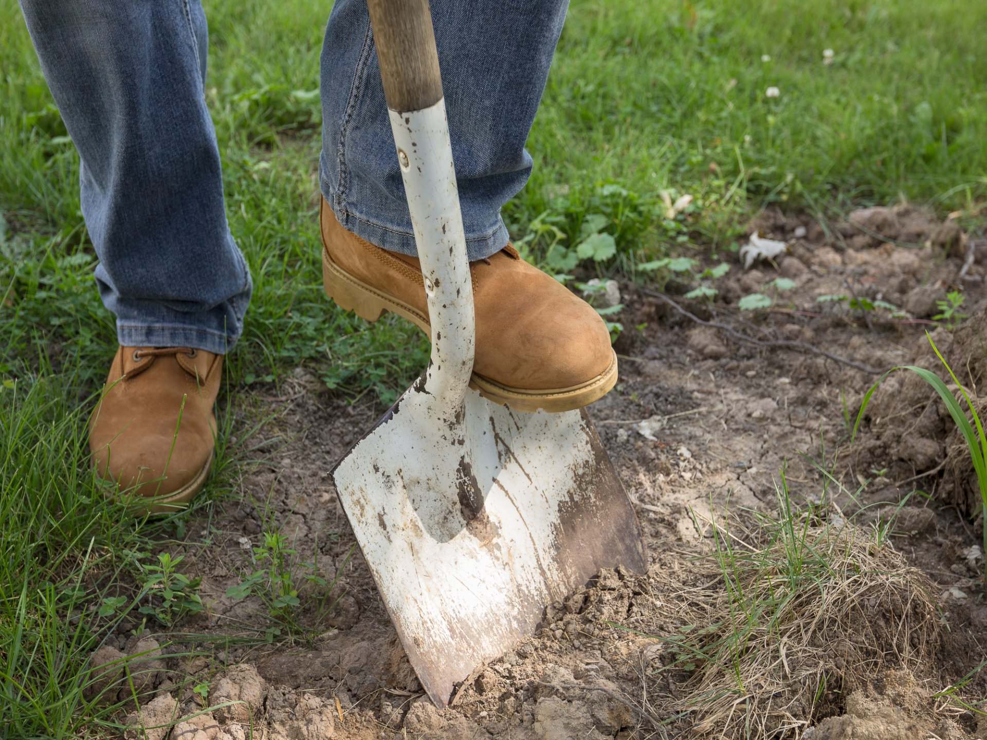 Lawn Maintenance and Landscape Repair | Carson City, Reno, Nevada
