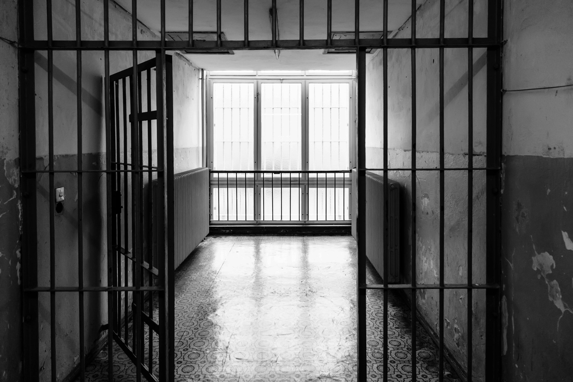 Last Prisoner Project - Cannabis Reform Nonprofit